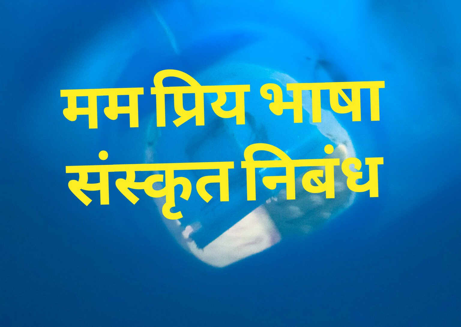 Mam Priya Bhasha Sanskrit Nibandha